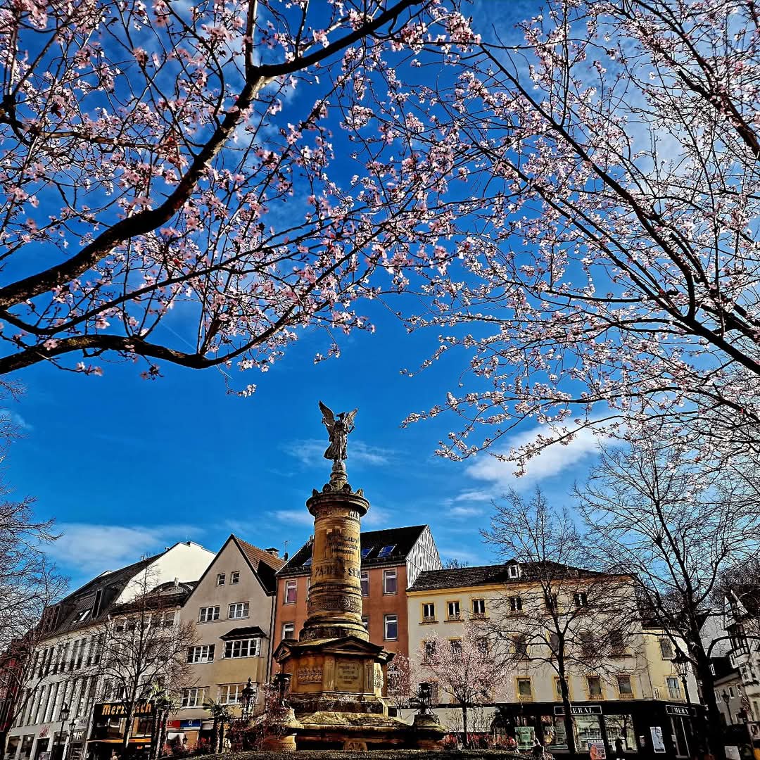 Veranstaltungskalender der Kreisstadt Siegburg
